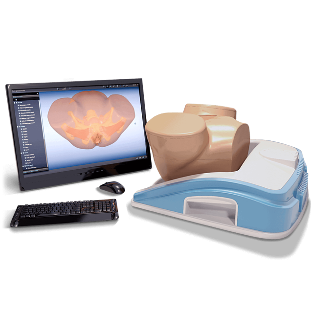 Pelvic Exam Simbionix