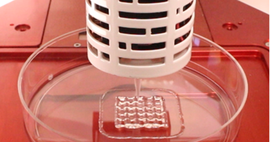 Recorded Webinar: Bioprinting Sodium Alginate Using the Allevi by 3D ...